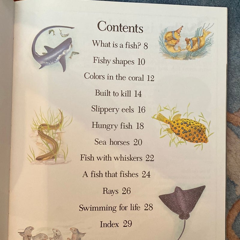 Amazing Fish by Eyewitness Books, Paperback | Pangobooks