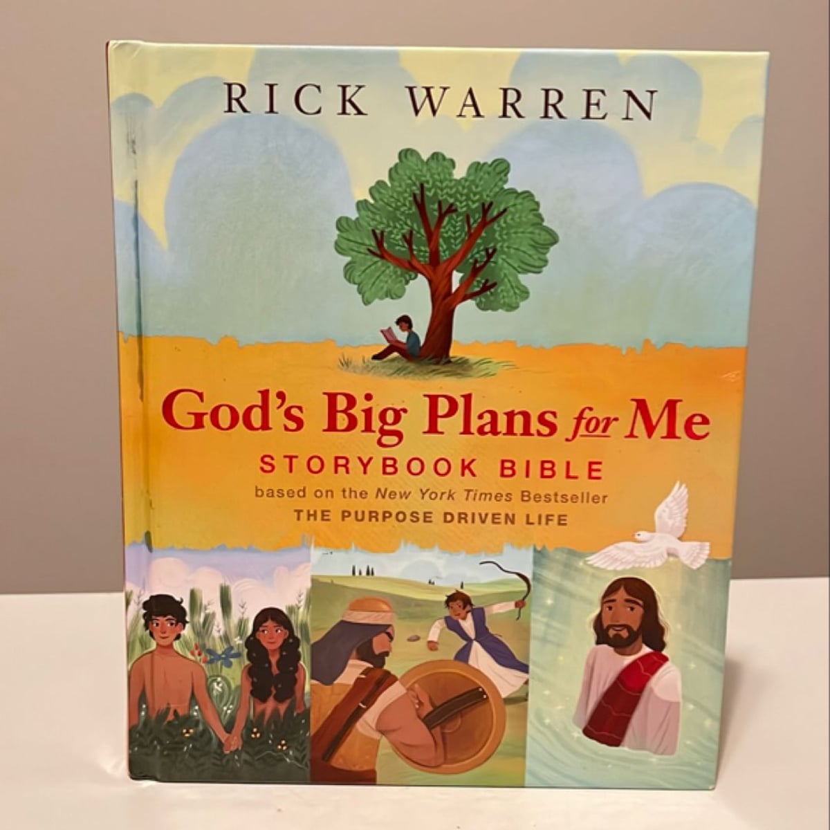 God's Big Plans for Me Storybook Bible by Rick Warren