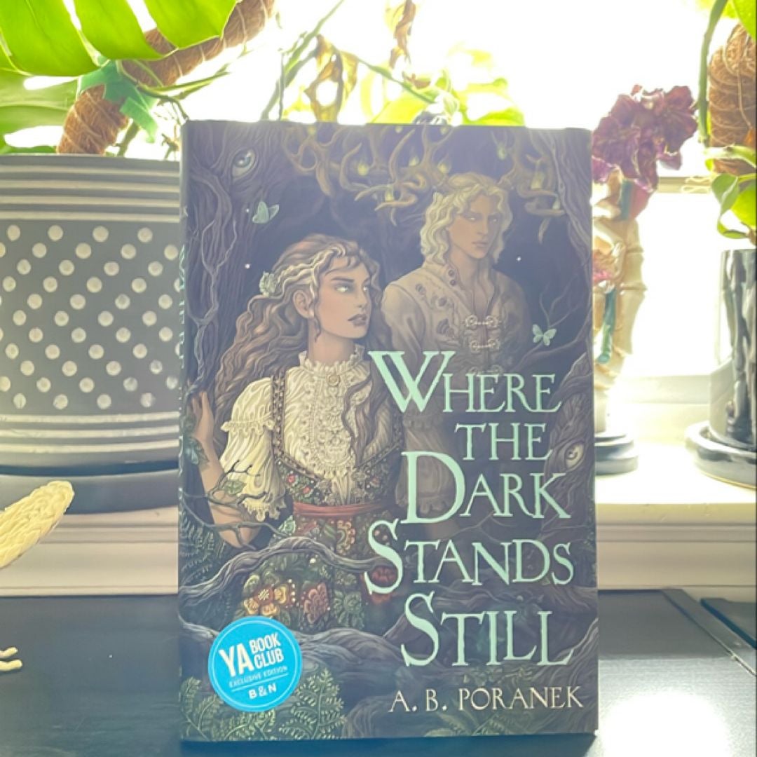 Where the Dark Stands Still by A. B. Poranek , Hardcover | Pangobooks