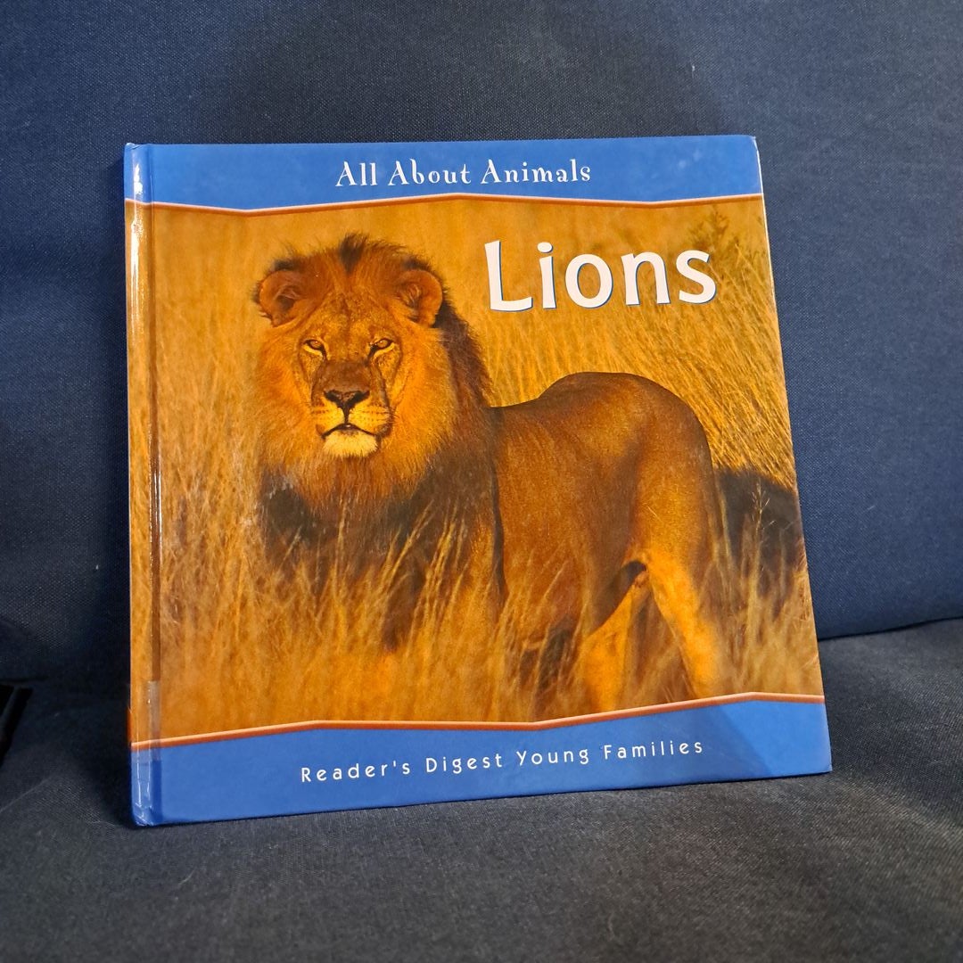 Lions by Sarah Albee