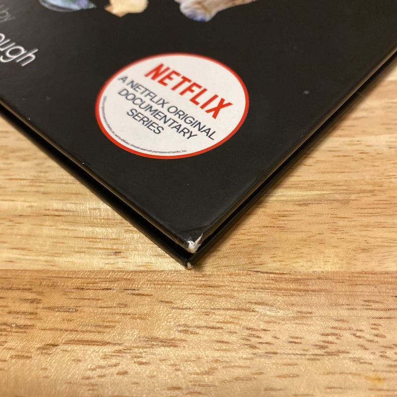 Our Planet: the One Place We All Call Home