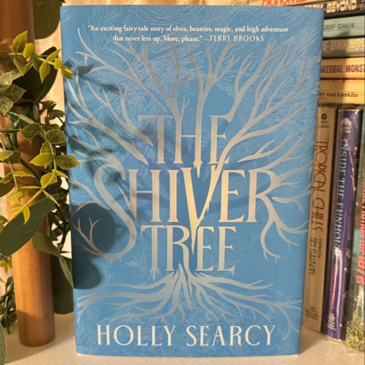 The Shiver Tree by Holly Searcy
