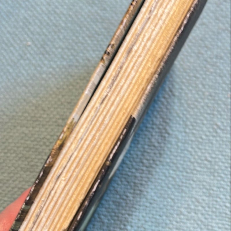 Pax, Journey Home by Sara Pennypacker