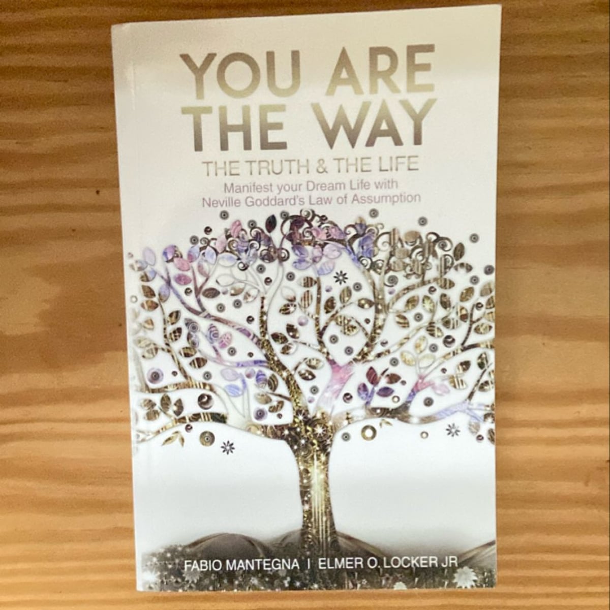 You Are the Way by Elmer O. Locker Jr, Neville Goddard, Fabio Mantegna