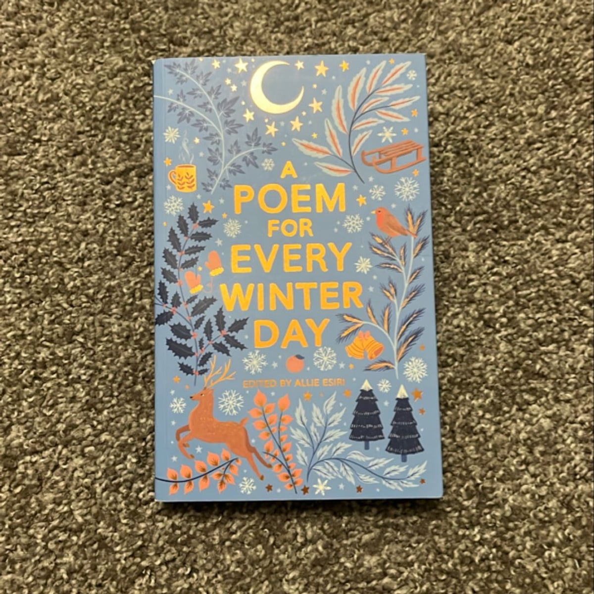 A Poem for Every Winter Day by Allie Esiri