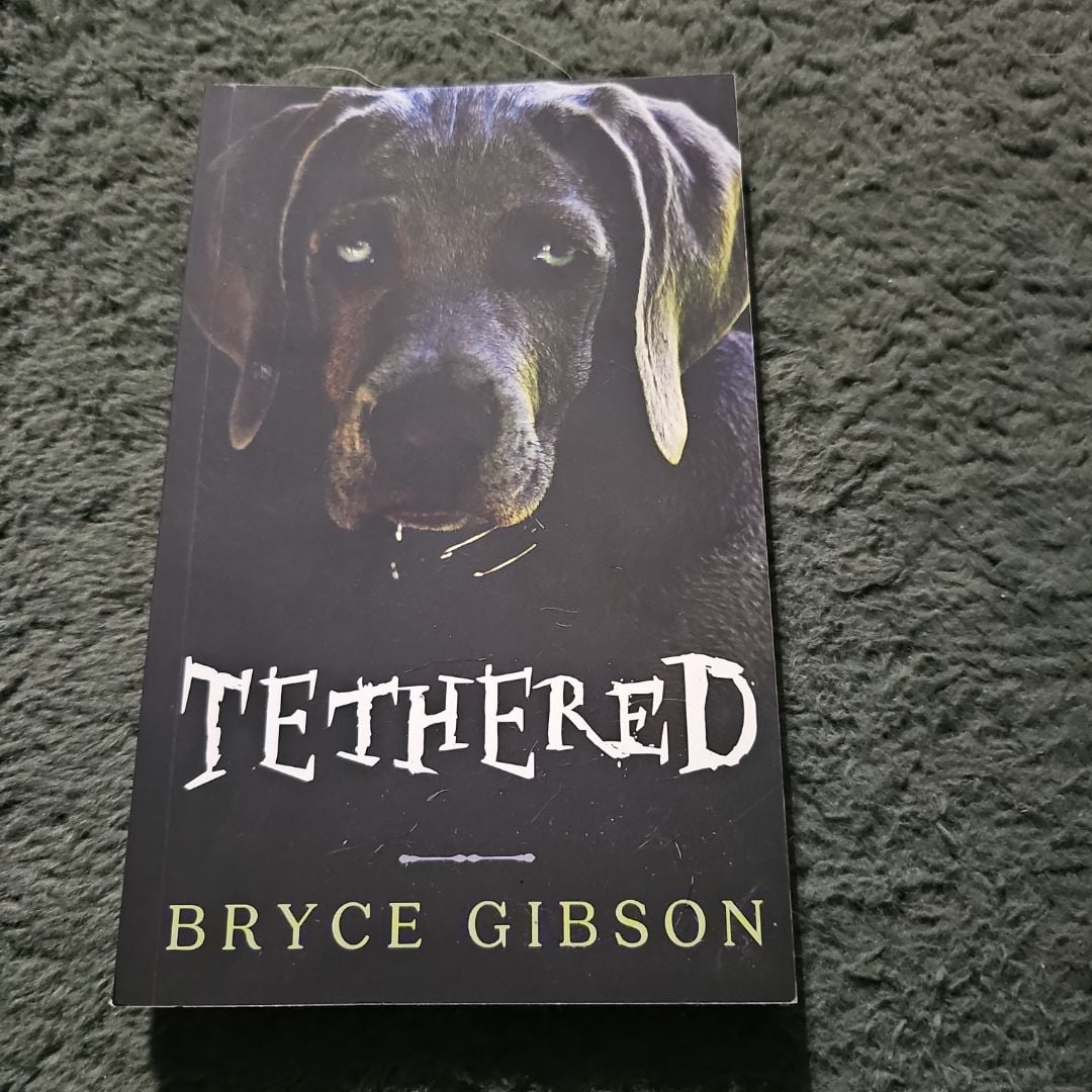 Tethered by Bryce Gibson, Paperback | Pangobooks