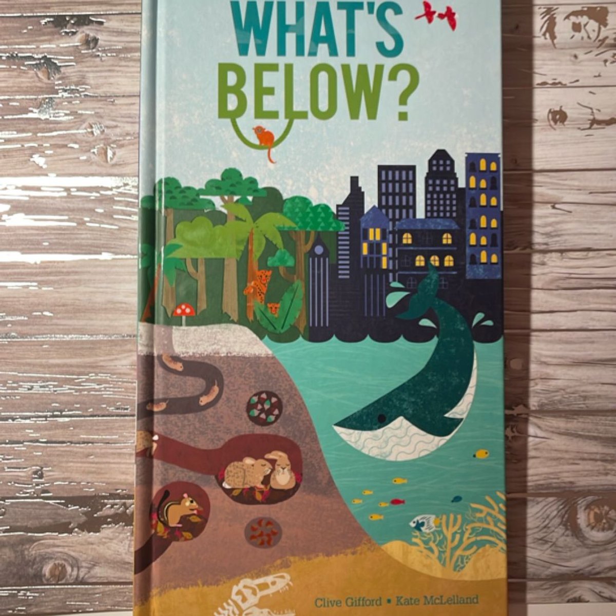 What's Below? by Clive Gifford, Hardcover | Pangobooks