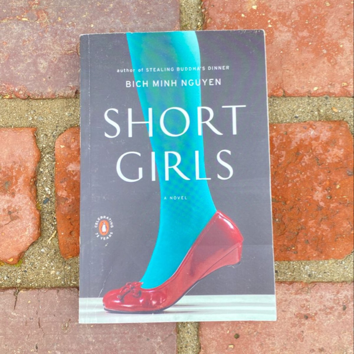 Short Girls by Bich Minh Nguyen
