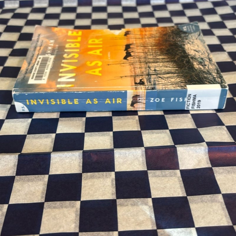 Invisible As Air by Zoe Fishman
