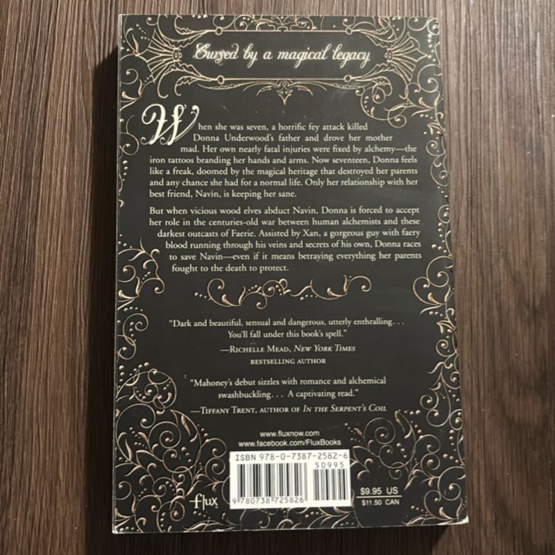 The Iron Witch by Karen Mahoney