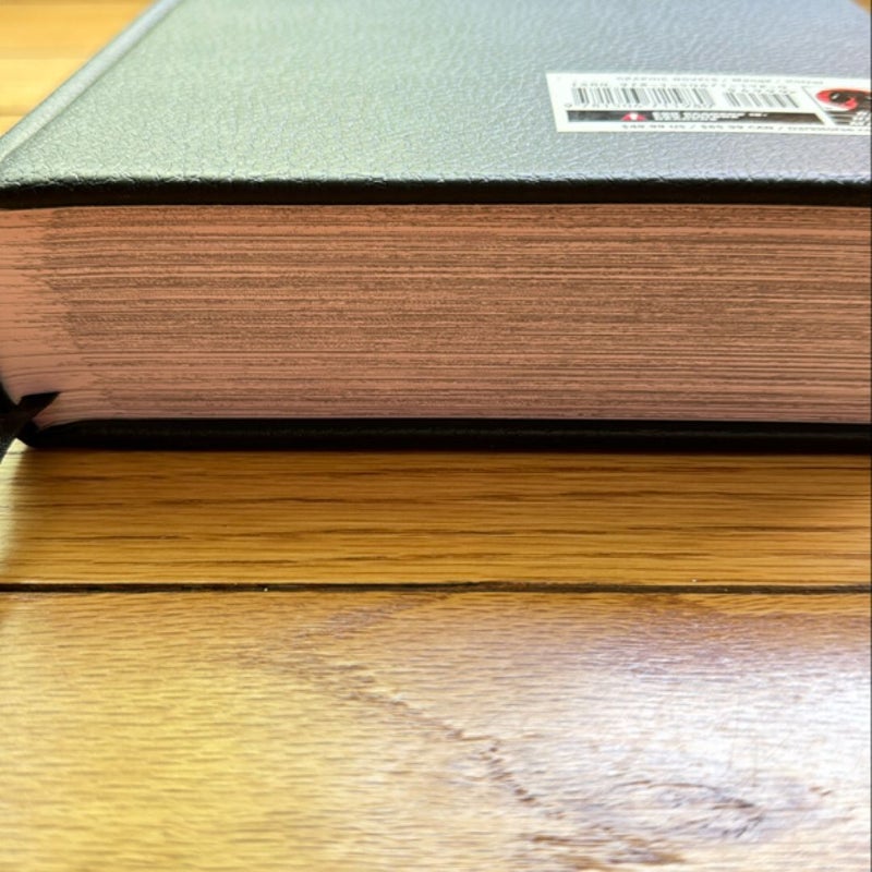 Berserk Deluxe Volume 1 by Jason DeAngelis