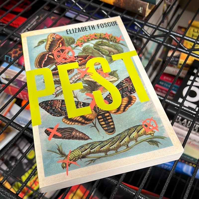 Pest by Elizabeth Foscue, Paperback | Pangobooks
