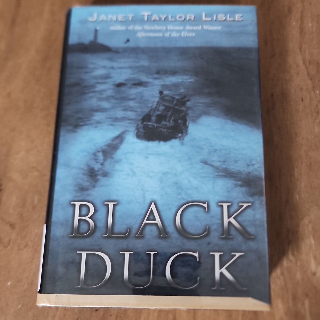 Black Duck by Janet Taylor Lisle