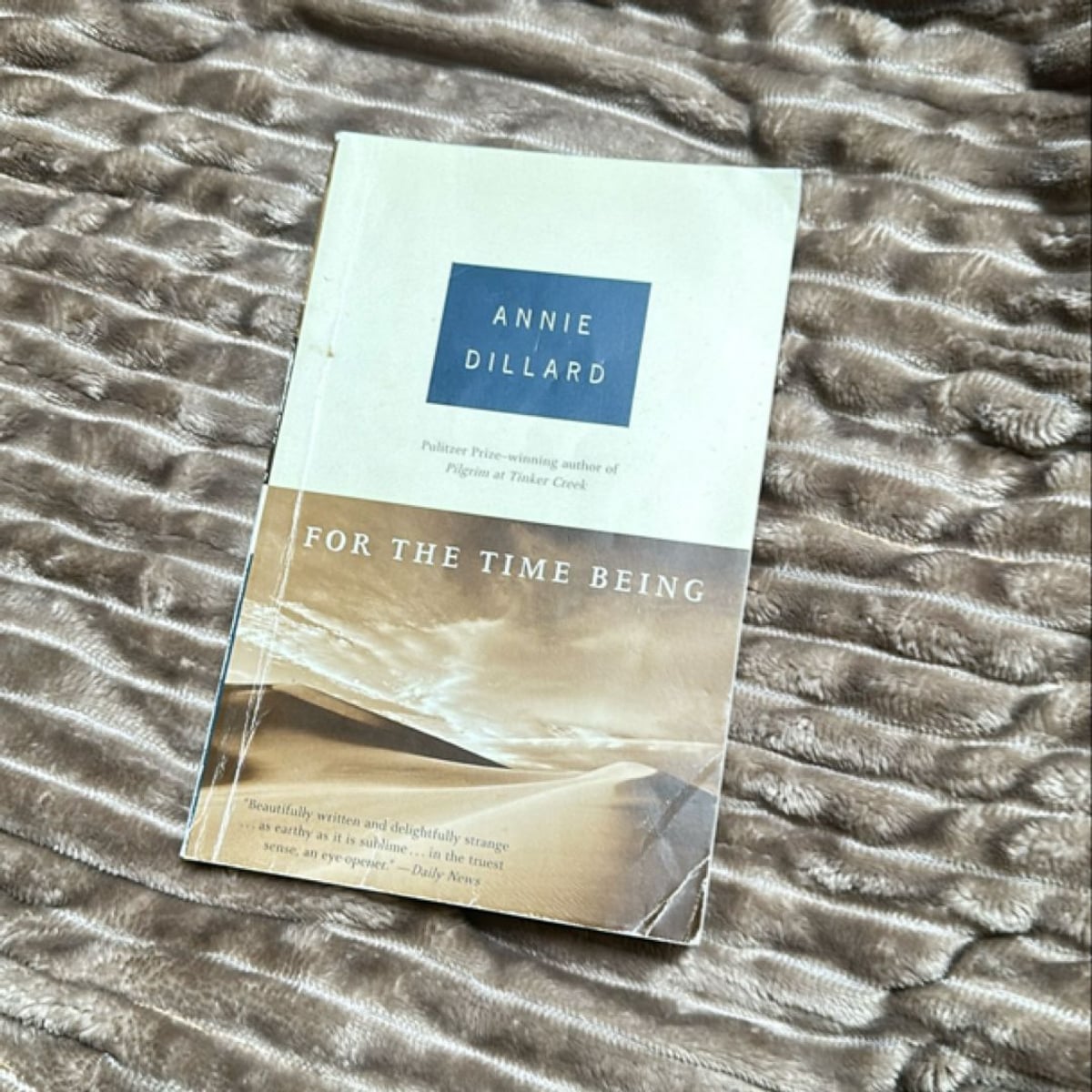 For the Time Being by Annie Dillard, Paperback | Pangobooks