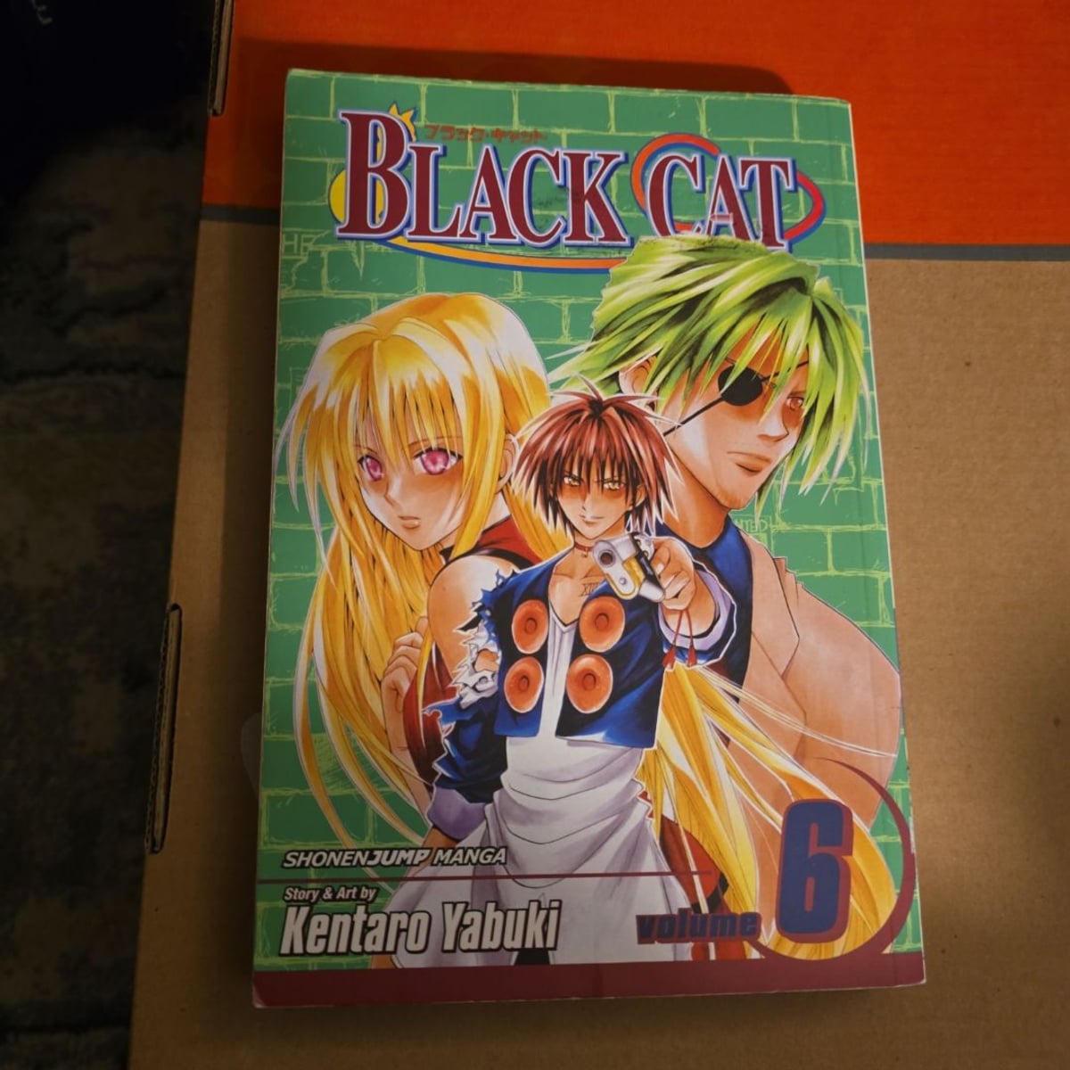Black Cat, Vol. 6 by Kentaro Yabuki