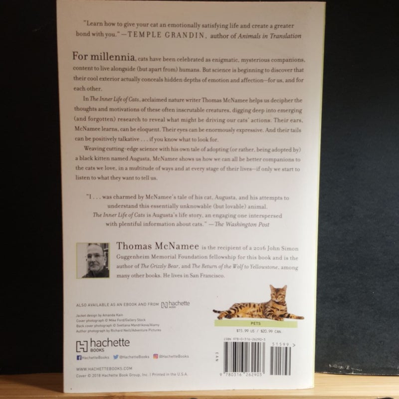 The Inner Life of Cats by Thomas McNamee, Paperback | Pangobooks