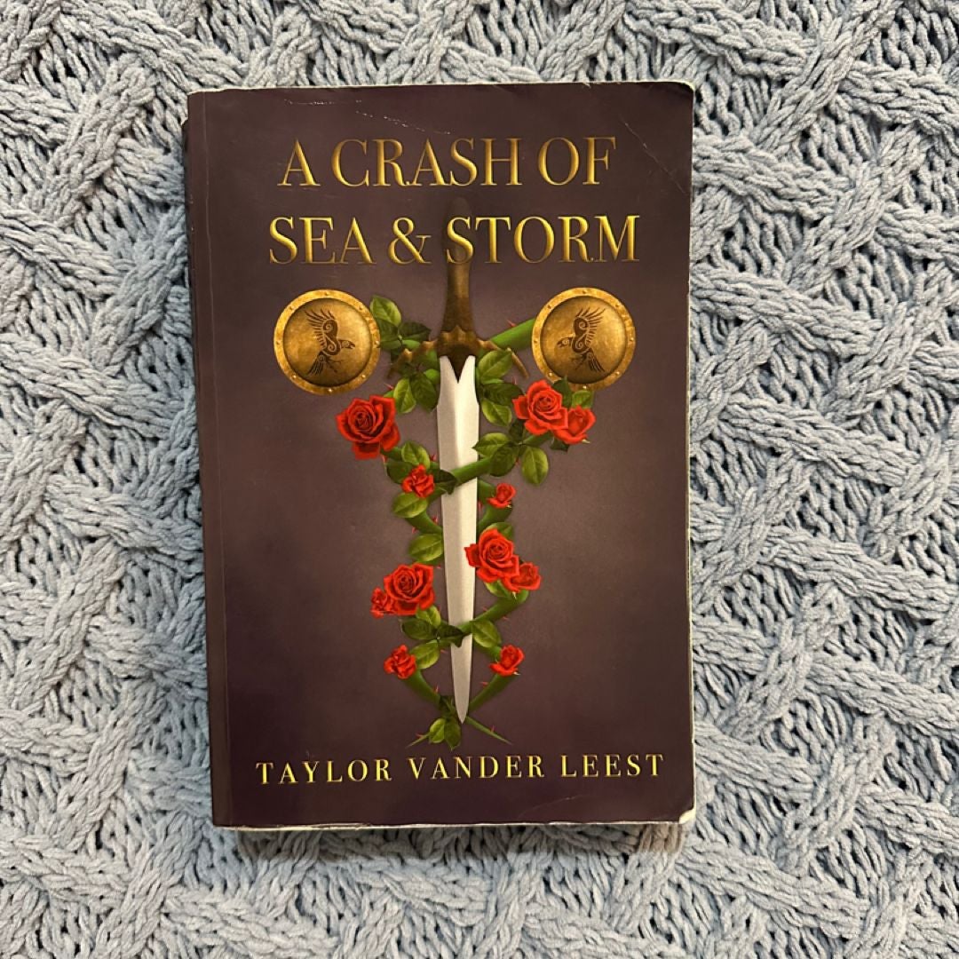 A Crash of Sea and Storm by Taylor Vander Leest