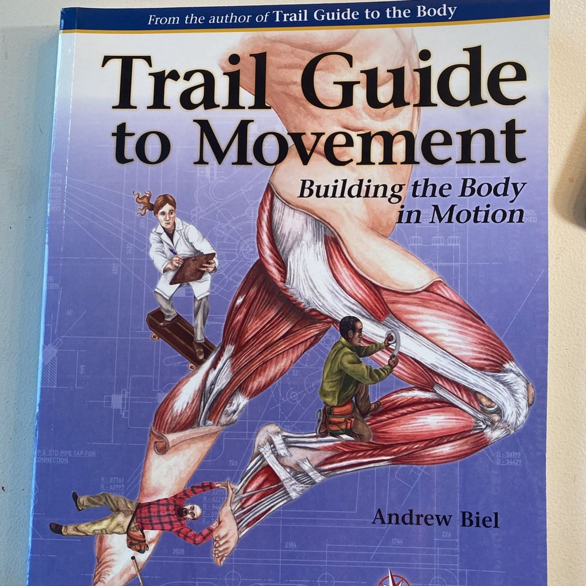 Trail Guide to Movement 1e by Andrew Biel