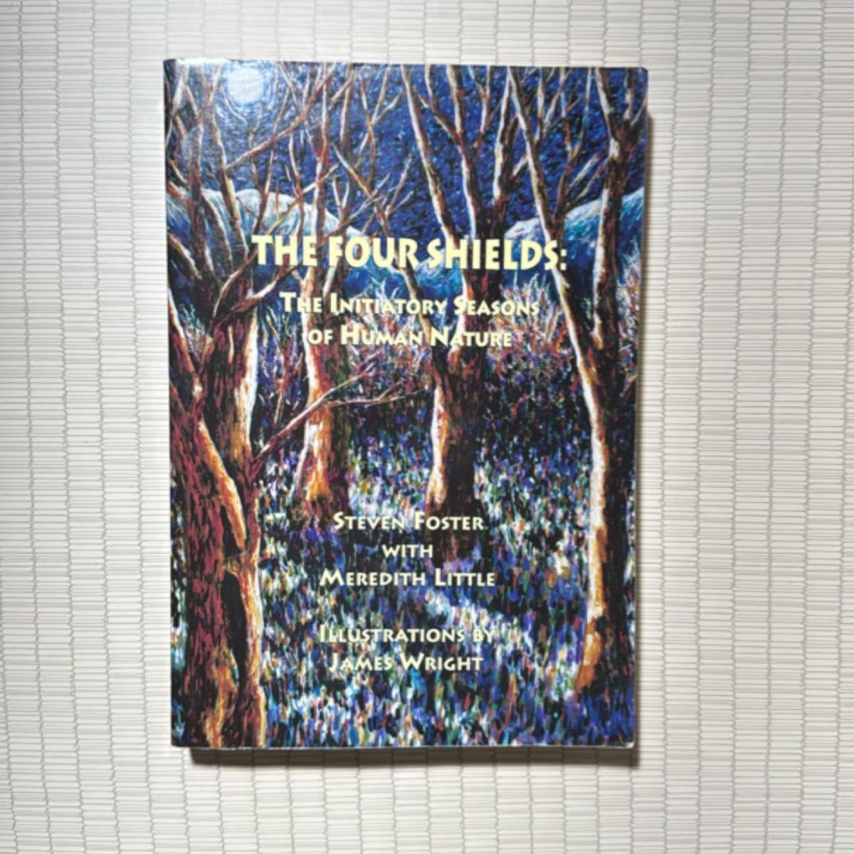 The Four Shields by Steven M. Foster, Meredith Little