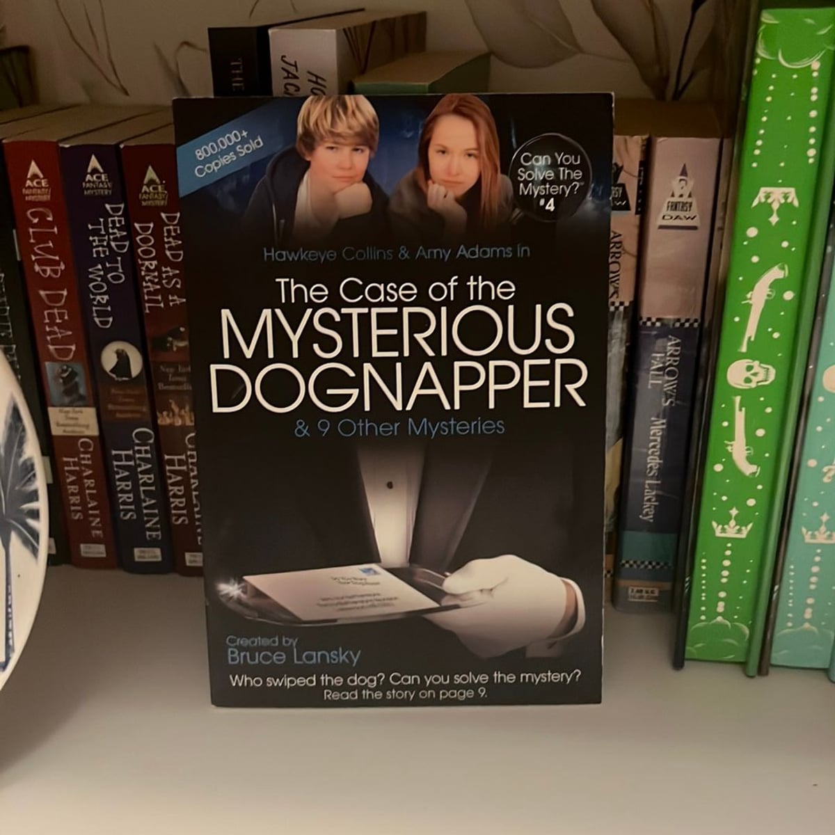 The Case of the Mysterious Dognapper by M. Masters, Bruce Lansky