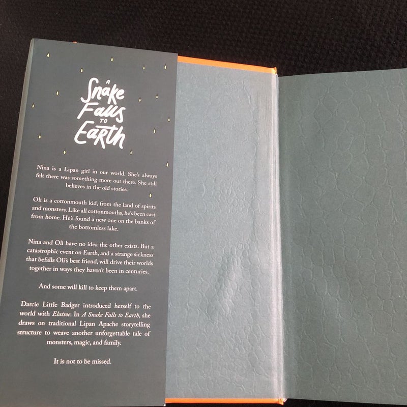 A snake Falls To Earth by Darcie Little Badger, Hardcover | Pangobooks