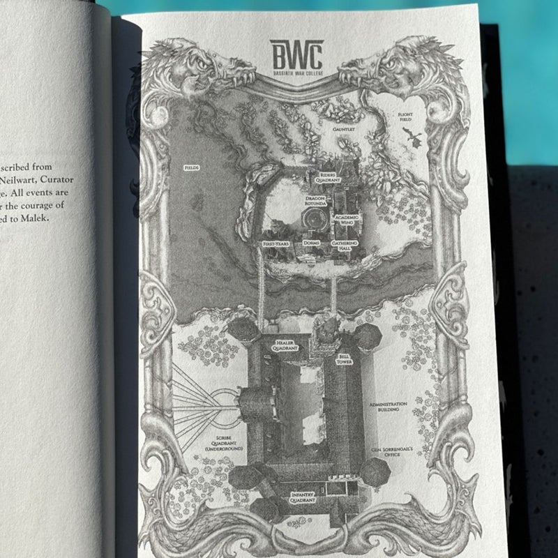 Fourth Wing First Edition with Sprayed and Stenciled Edges by Rebecca ...