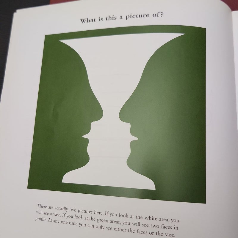 Amazing Optical Illusions by IllusionWorks, Paperback | Pangobooks