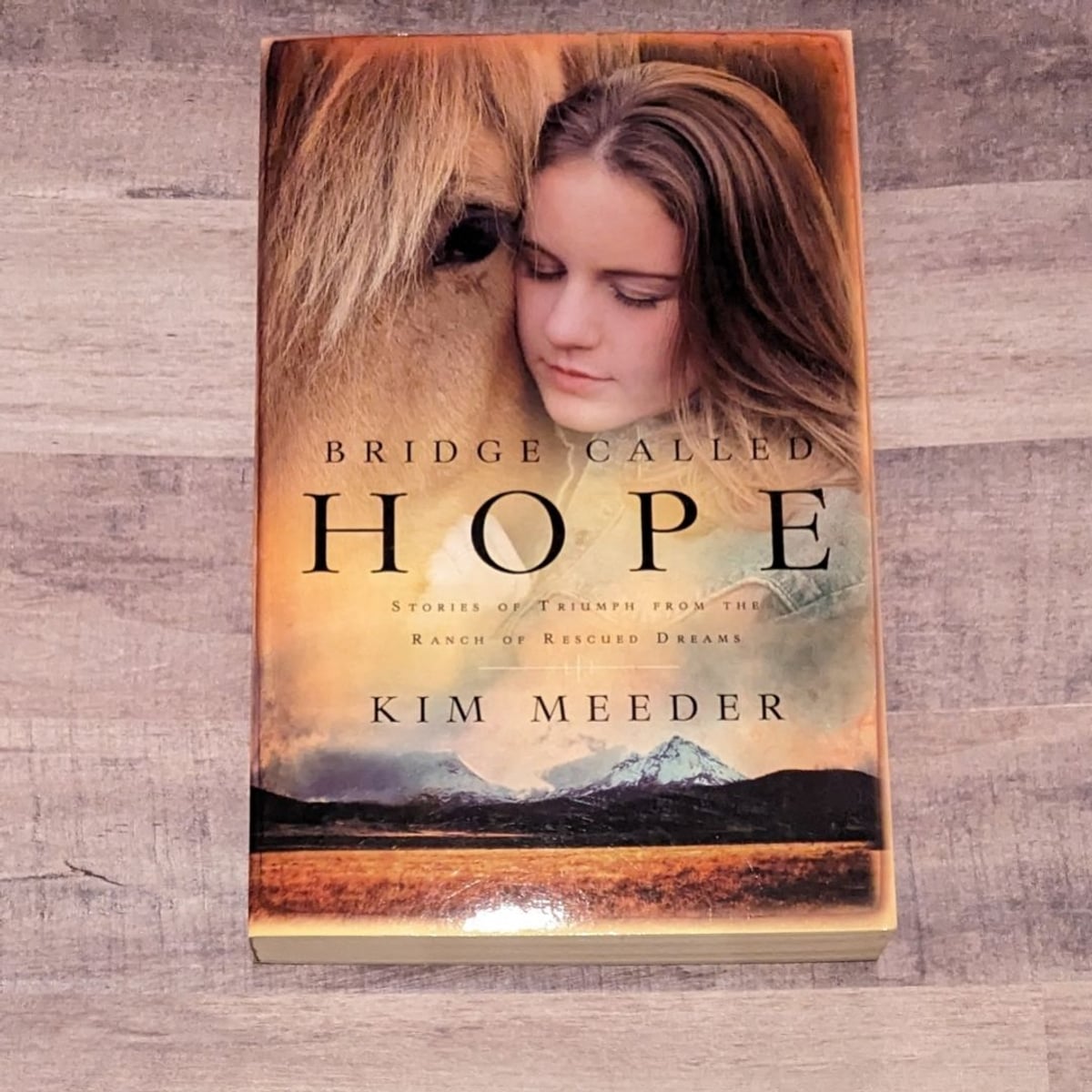 Bridge Called Hope by Kim Meeder