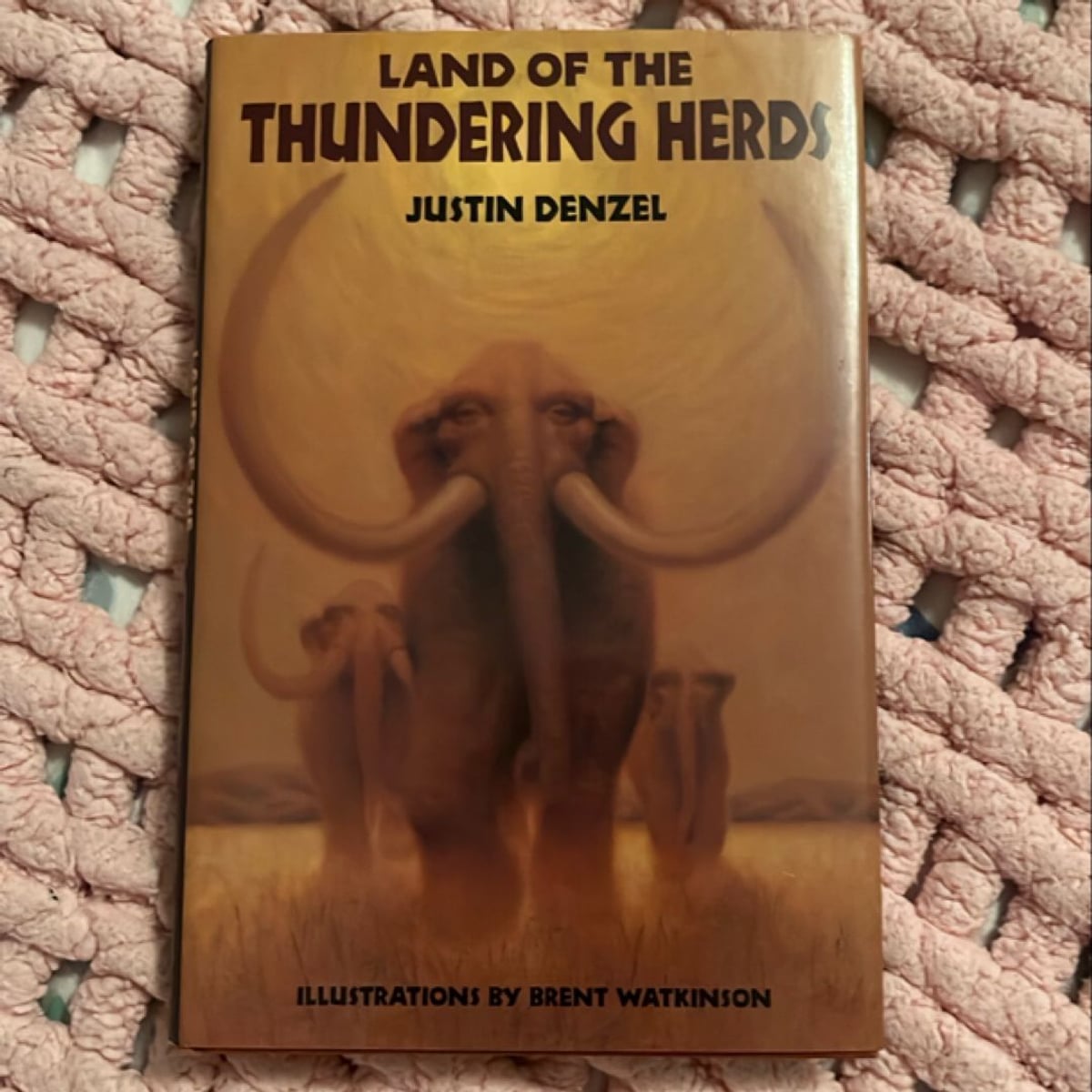 Land of the Thundering Herds by Justin F. Denzel