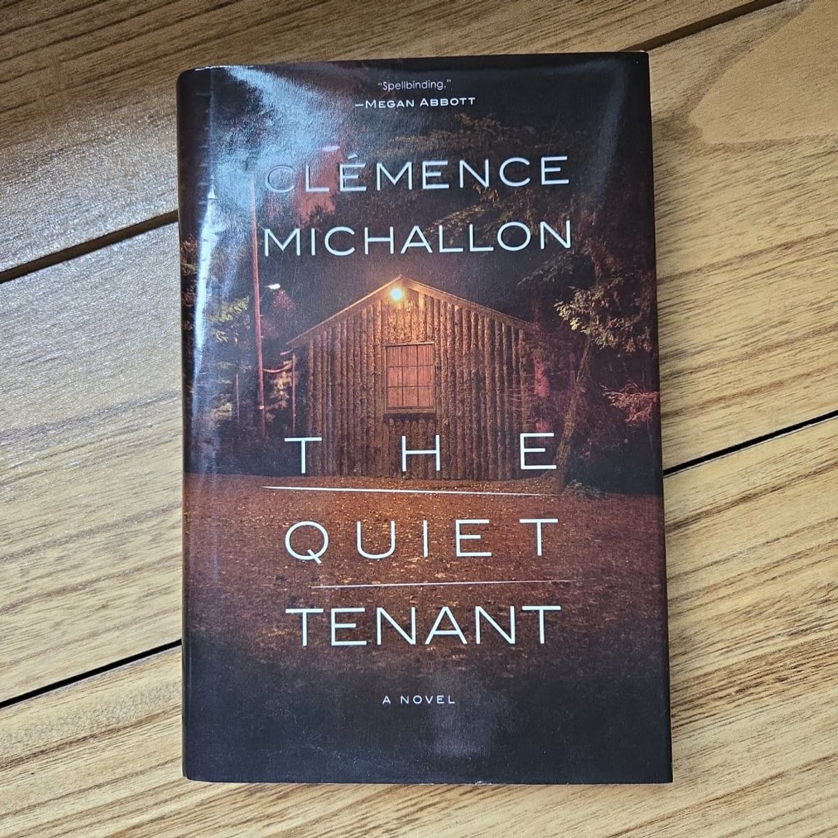 The Quiet Tenant by Clémence Michallon
