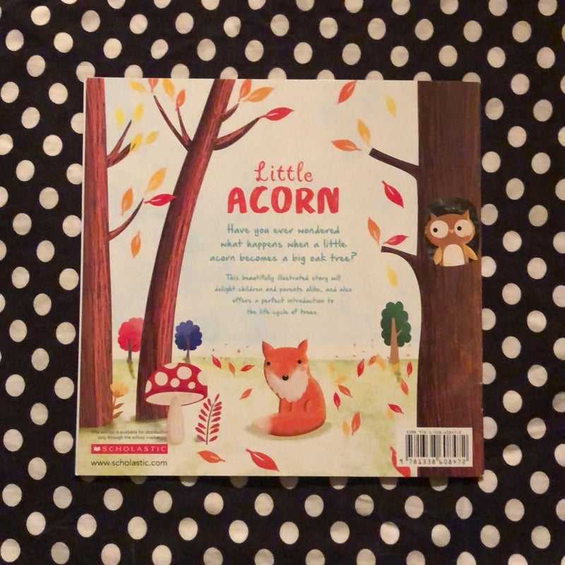 Little Acorn by Scholastic , Paperback | Pangobooks