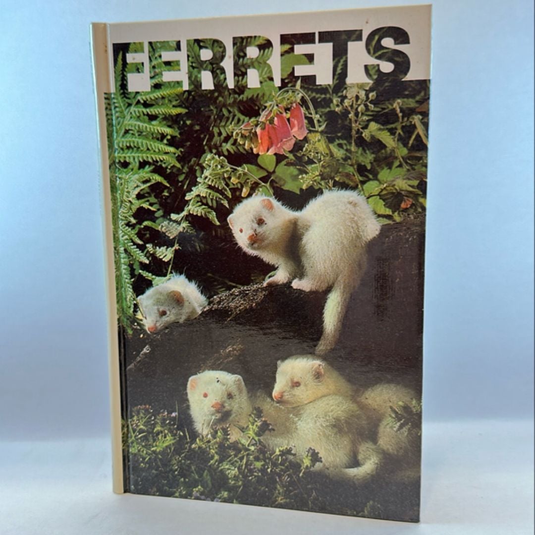 Ferrets by Wendy Winsted, Hardcover | Pangobooks