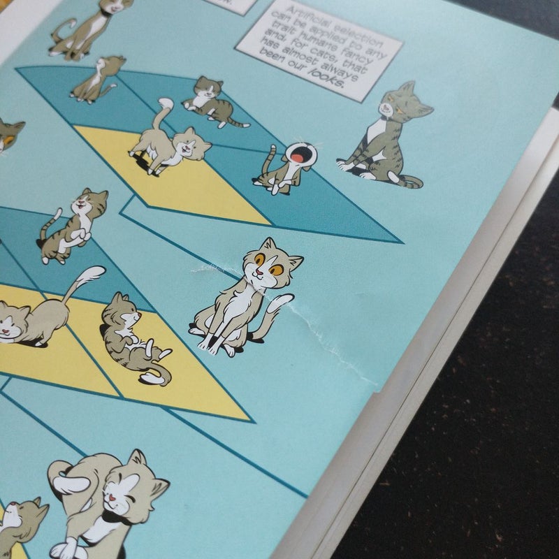 Science Comics: Cats by Andy Hirsch