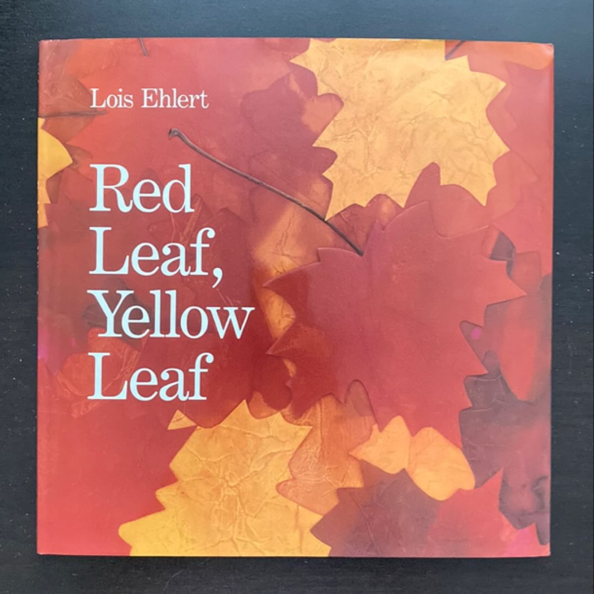 Red Leaf, Yellow Leaf by Lois Ehlert