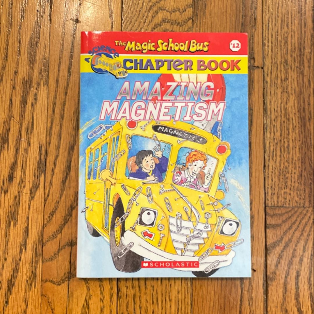 Amazing Magnetism by Rebecca Carmi