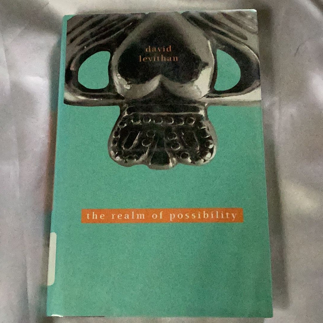 The Realm of Possibility by David Levithan