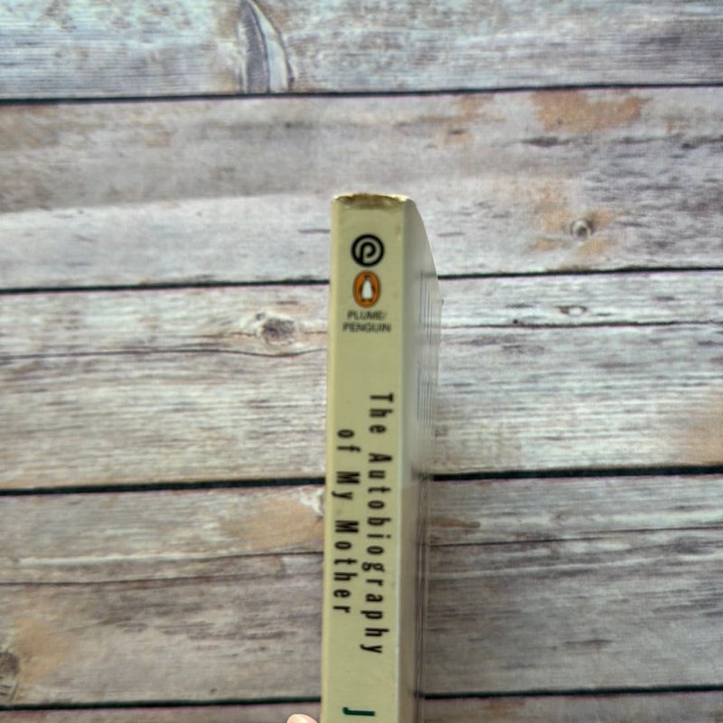 The Autobiography of My Mother by Jamaica Kincaid