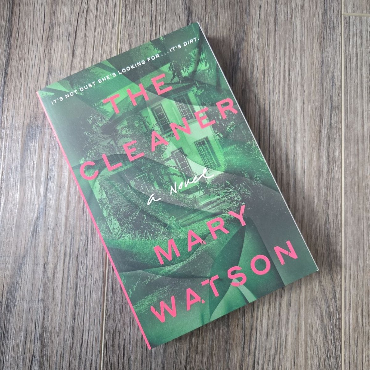 The Cleaner by Mary Watson
