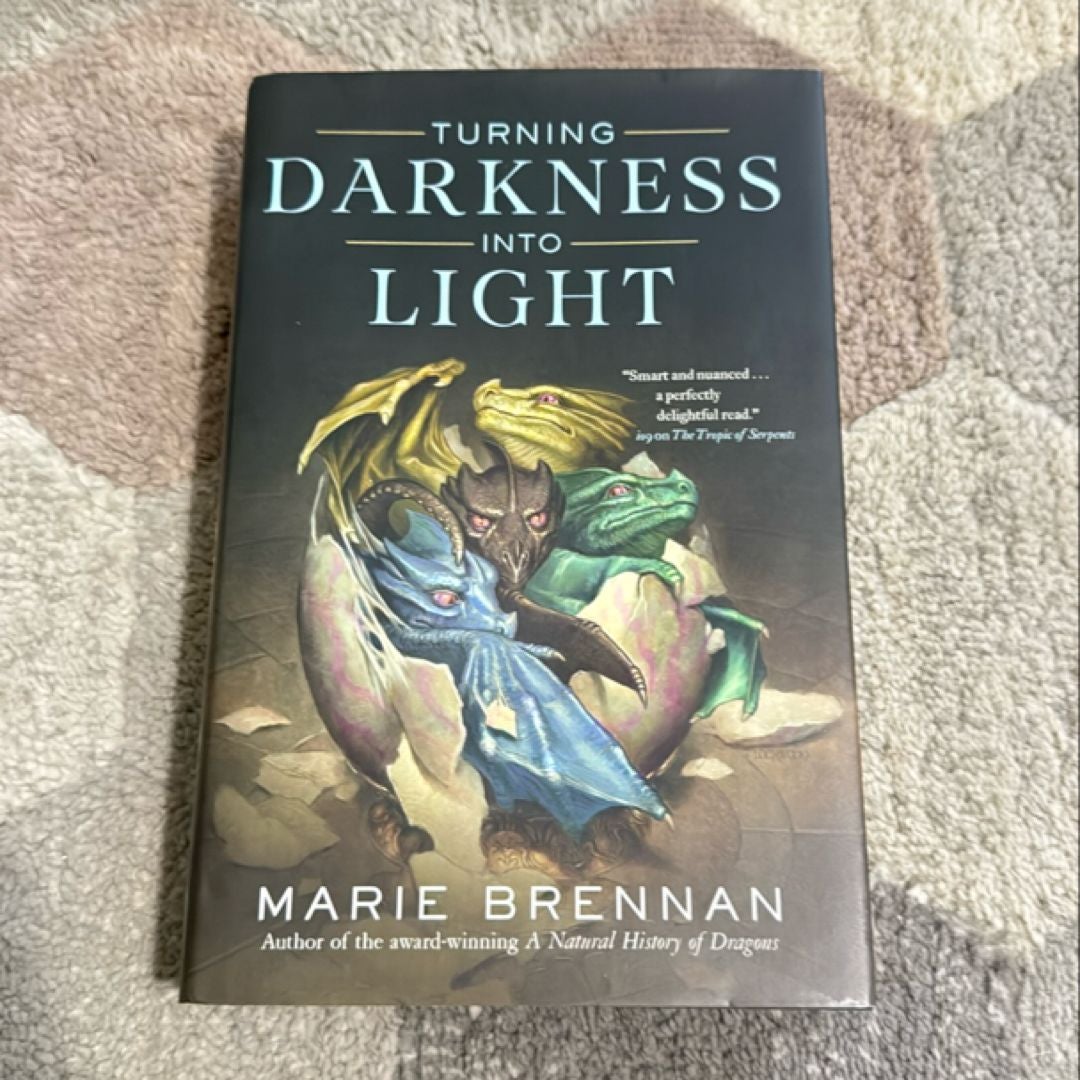 Turning Darkness into Light by Marie Brennan