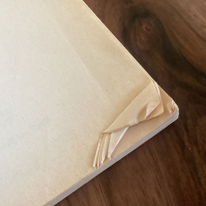 The Chicken Pox Panic by Beverly Lewis