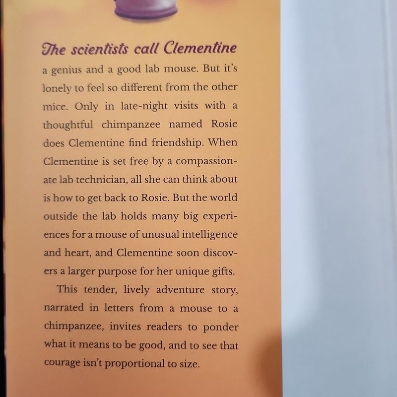 Always, Clementine by Carlie Sorosiak, Hardcover | Pangobooks