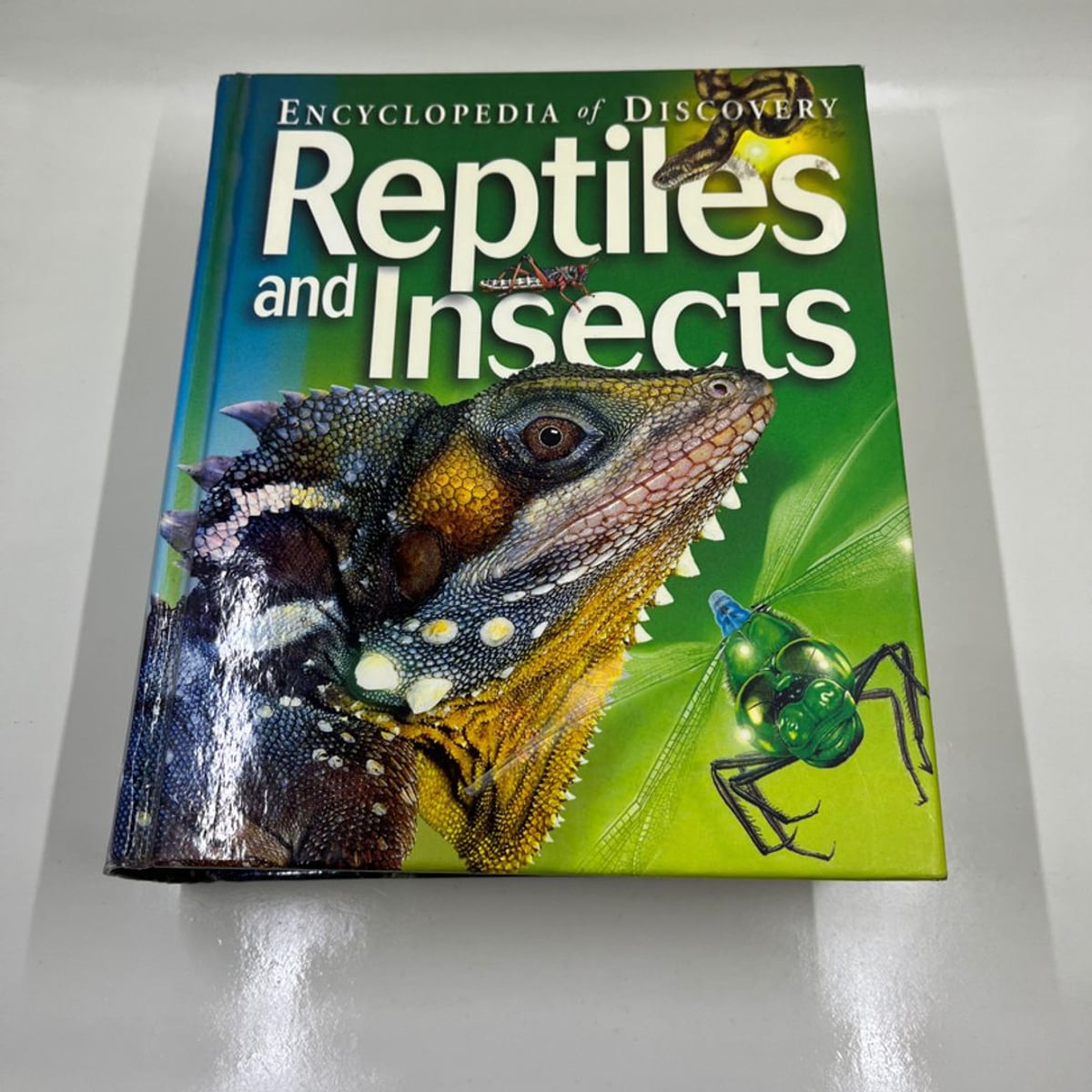 Insects and Reptiles by