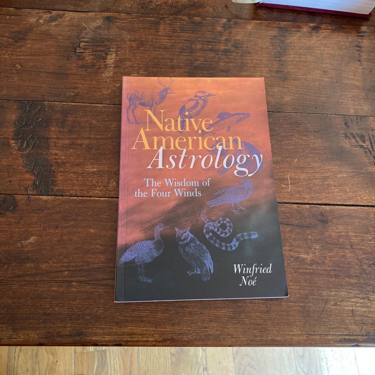 Native American Astrology by Winfried Noe, Hardcover | Pangobooks