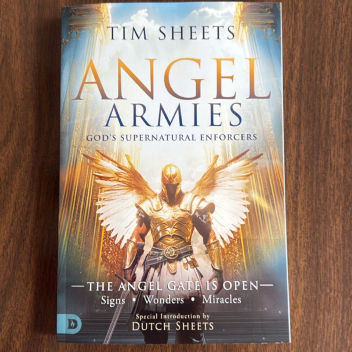 Angel Armies: God's Supernatural Enforcers by Tim Sheets