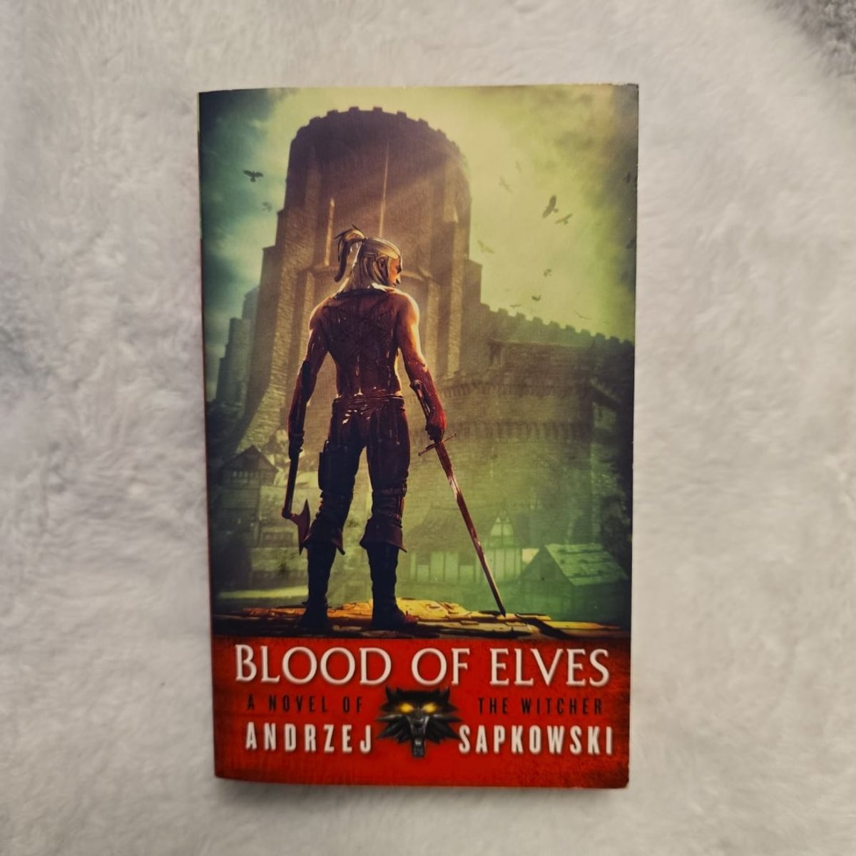 Blood of Elves by Andrzej Sapkowski; Danusia Stok, Paperback | Pangobooks