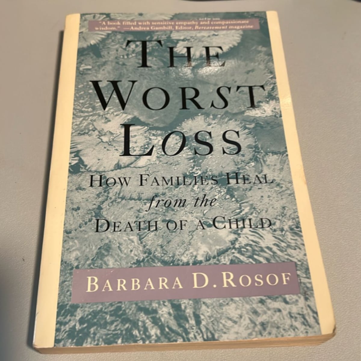 The Worst Loss by Barbara D. Rosof