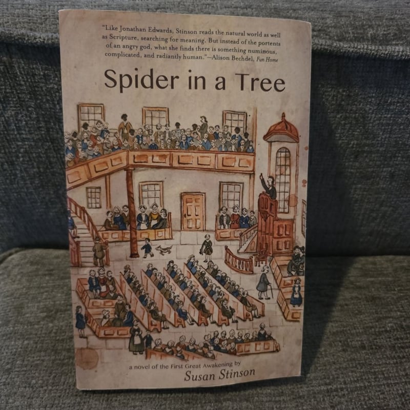 Spider in a Tree by Susan Stinson