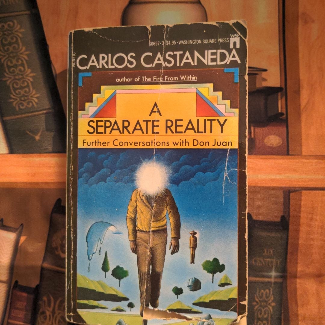 Separate Reality by Carlos Castañeda