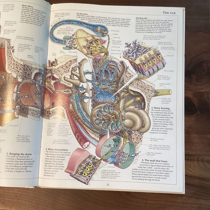 Stephen Biesty's Incredible Body by Richard Platt