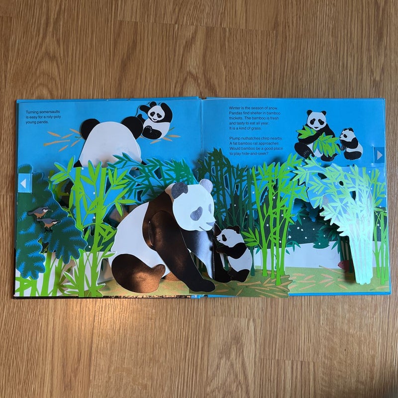 Playful Pandas